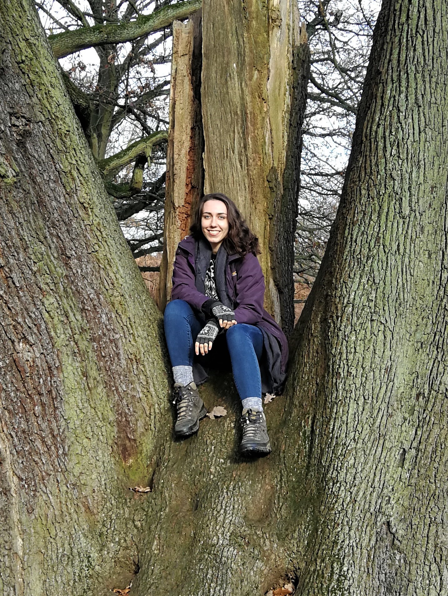 Jessica Treacher – University of Nottingham – Medieval Settlement ...